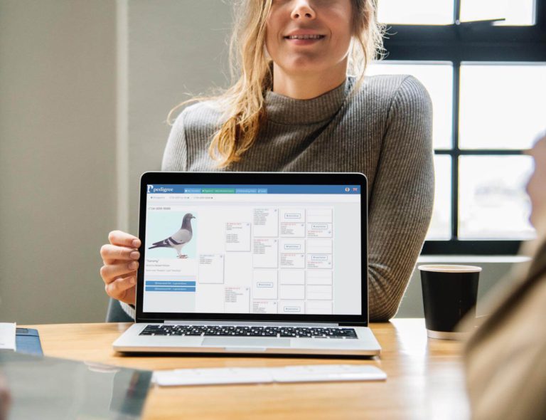 pedigree – BENZING