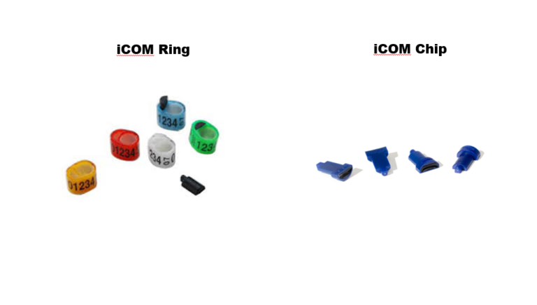 BENZING iCOM RING – BENZING