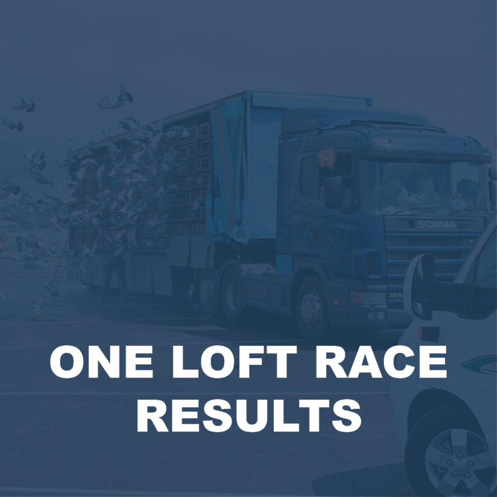 Website Startseite9 – BENZING