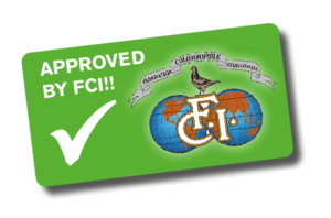 BENZING EXPRESS G2/G2+ – BENZING