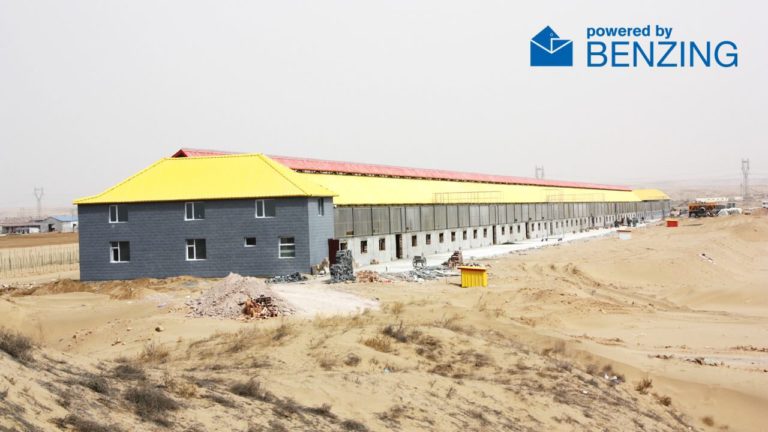 One Loft Race – BENZING