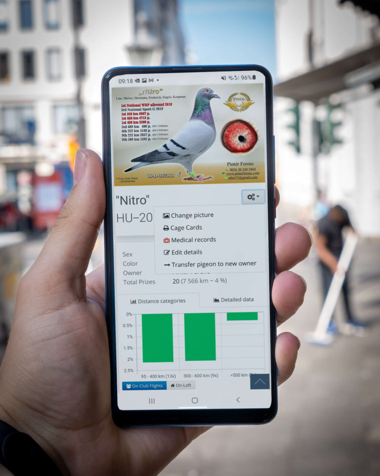 BENZING Live becomes MyPigeons – BENZING