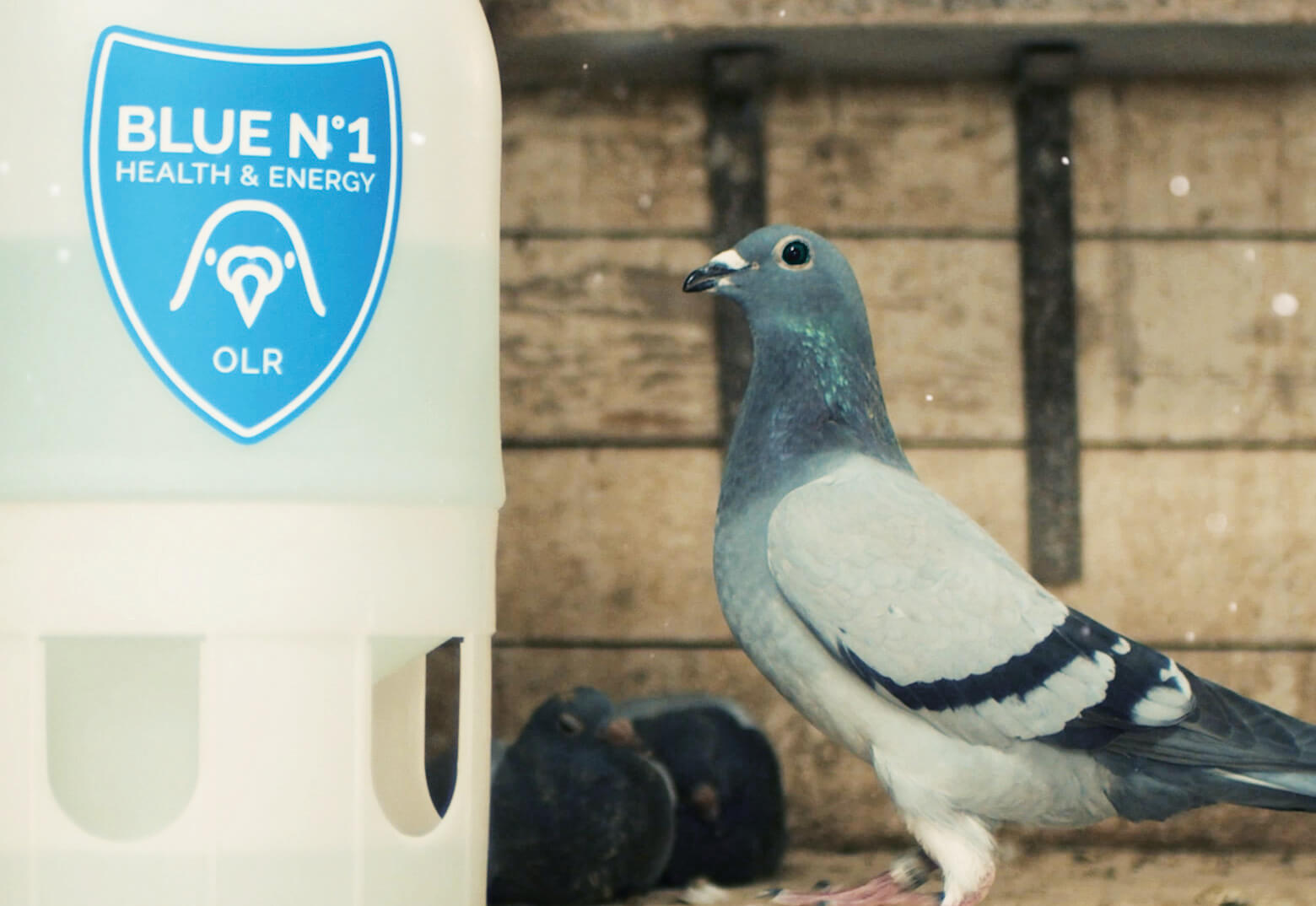 BLUE N°1 – BENZING