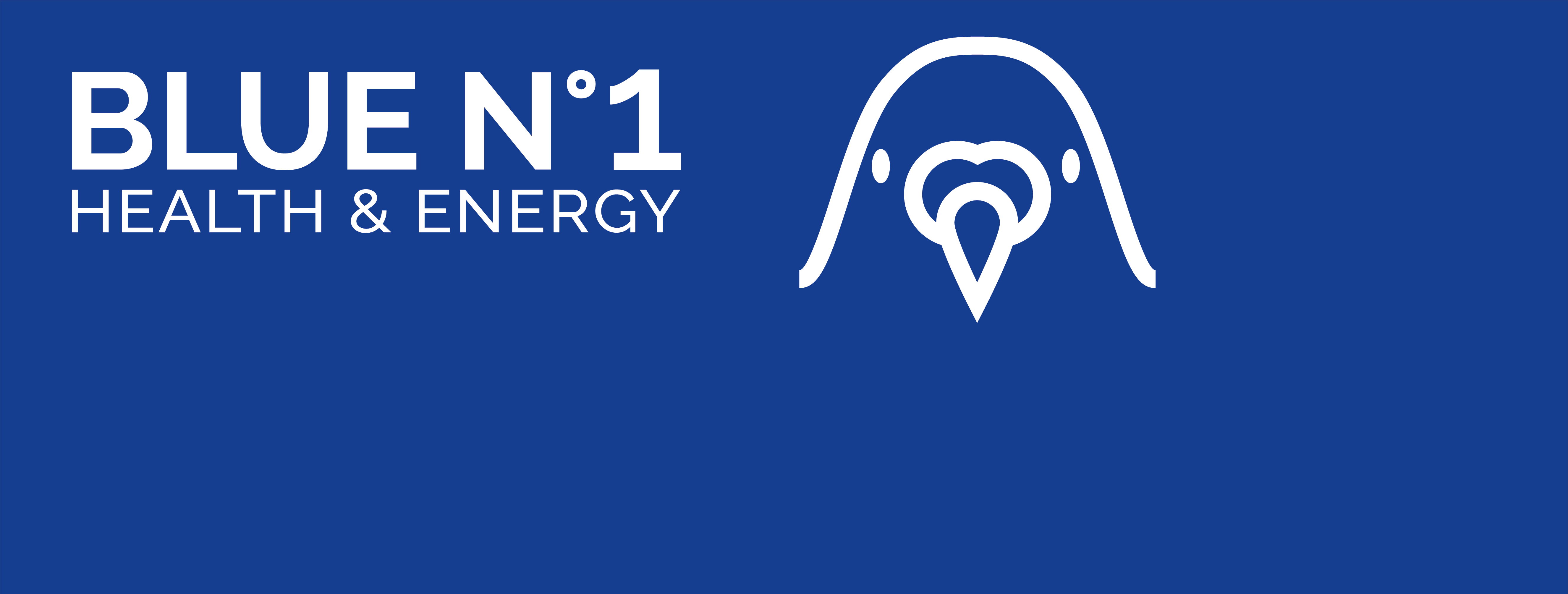 Blue N°1 banner – BENZING