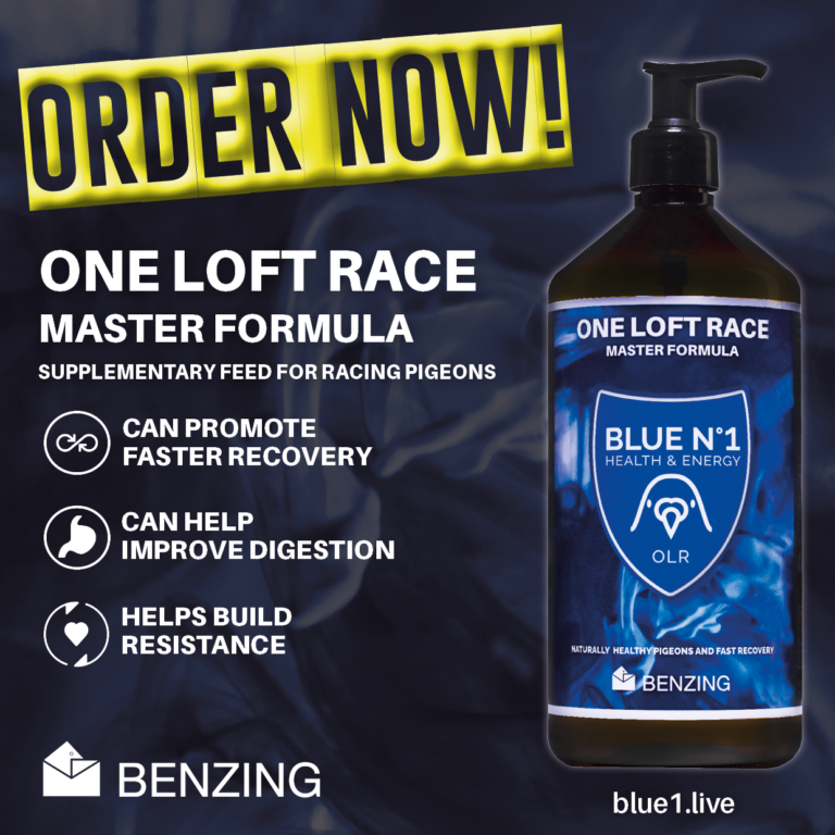 One Loft Races Premium – BENZING