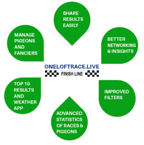 One Loft Races Basic and Premium 2 – BENZING