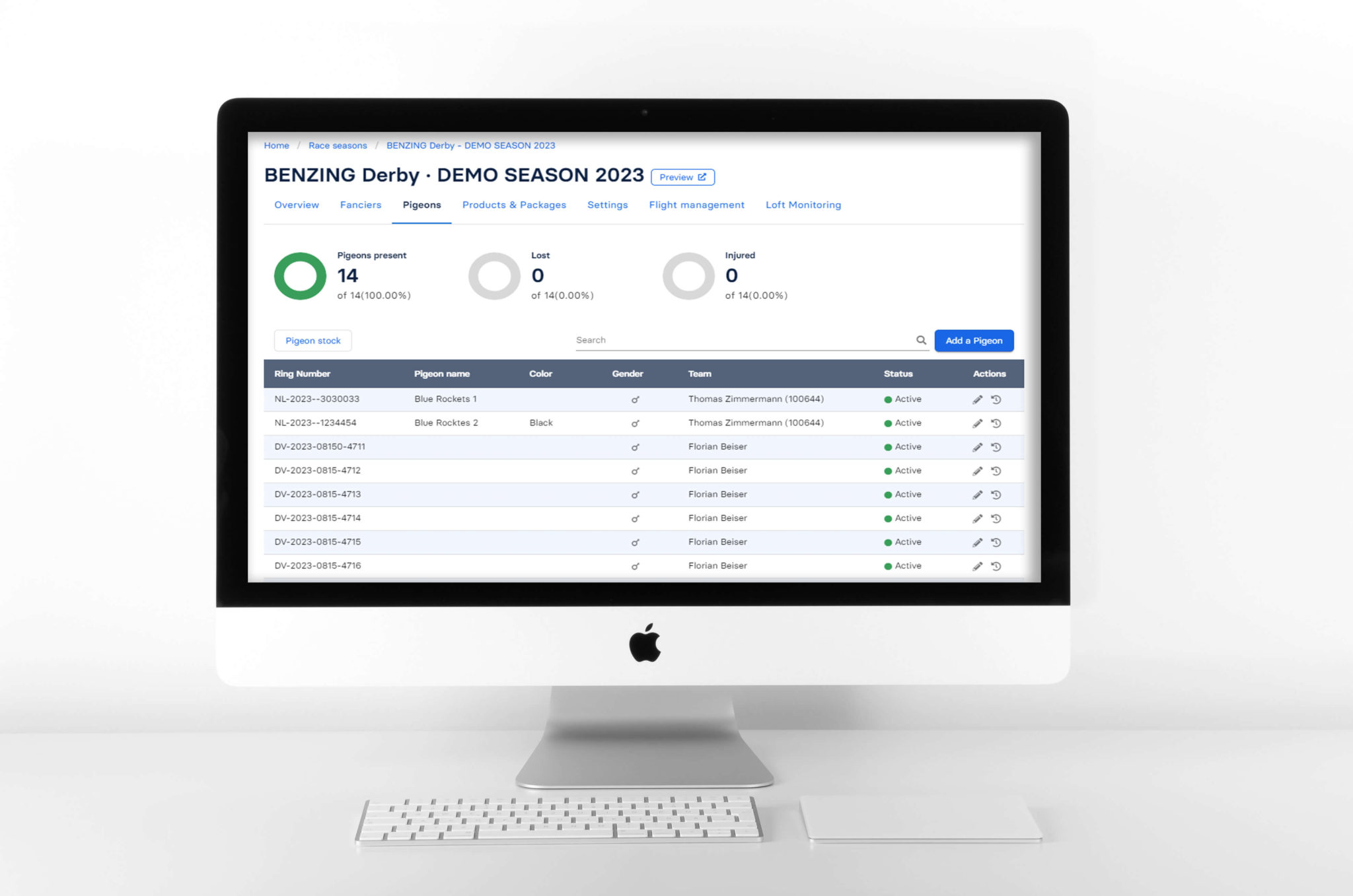 One Loft Races Basic and Premium 2 – BENZING