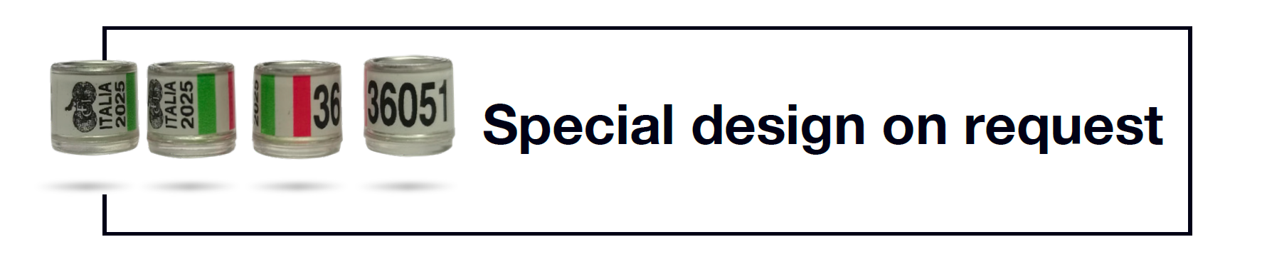 Life Ring – BENZING