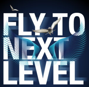 One Loft Races Basic and Premium – BENZING