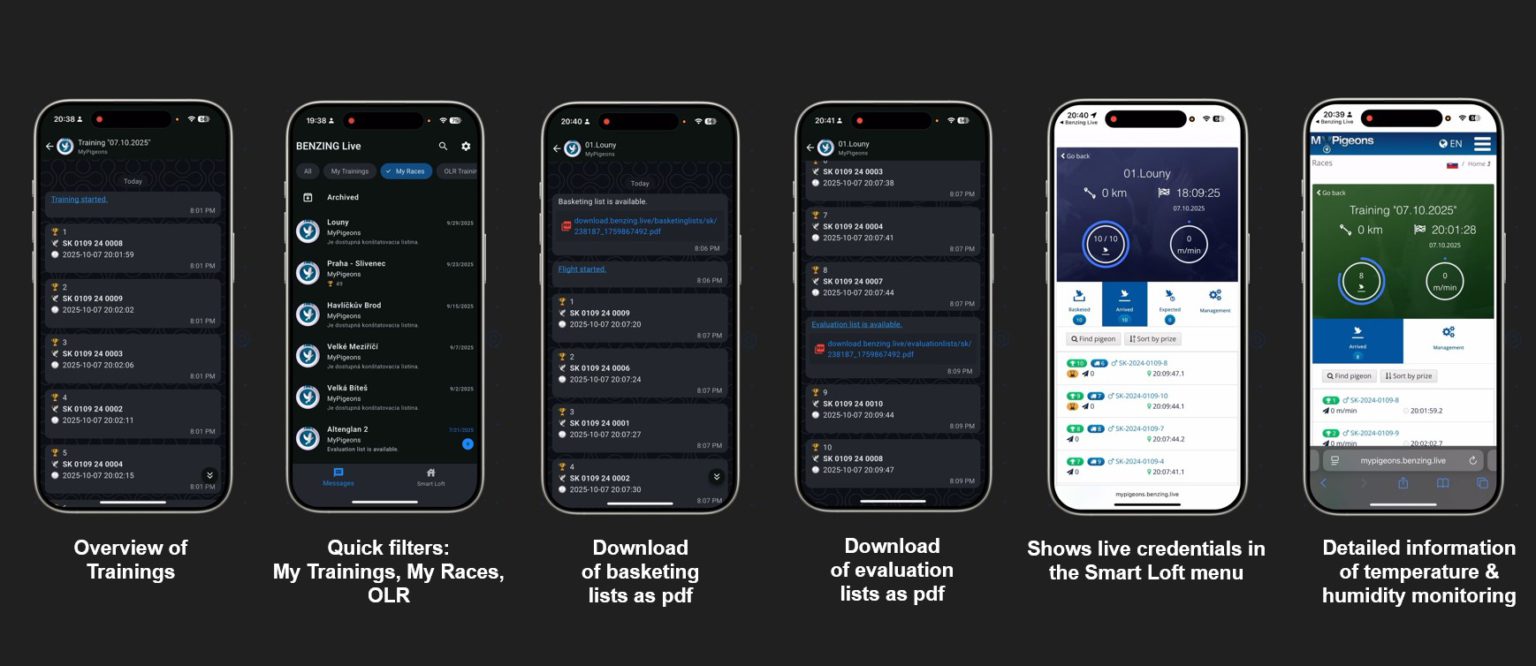 BENZING App Trainings and Races – BENZING